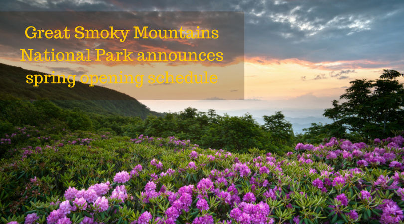 Great Smoky Mountains National Park announces spring opening schedule ...
