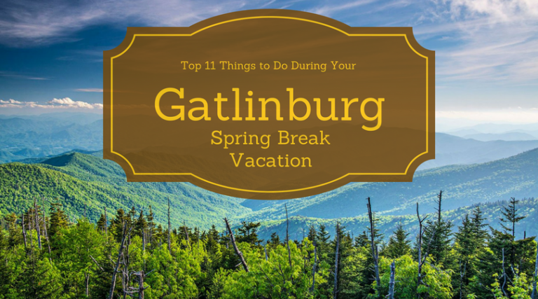 Top 11 Things to Do During Your Gatlinburg Spring Break Vacation – The ...