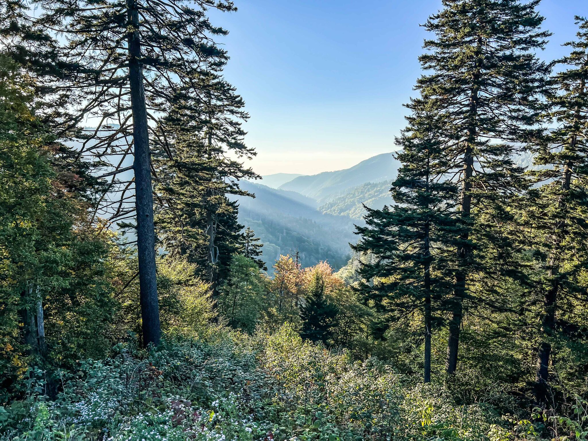 5 Cheap Gatlinburg Attractions – The All Gatlinburg Blog